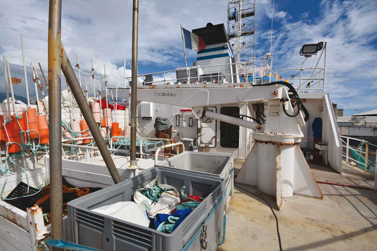 Marché des produits de la mer : les chiffres - Leader Réunion