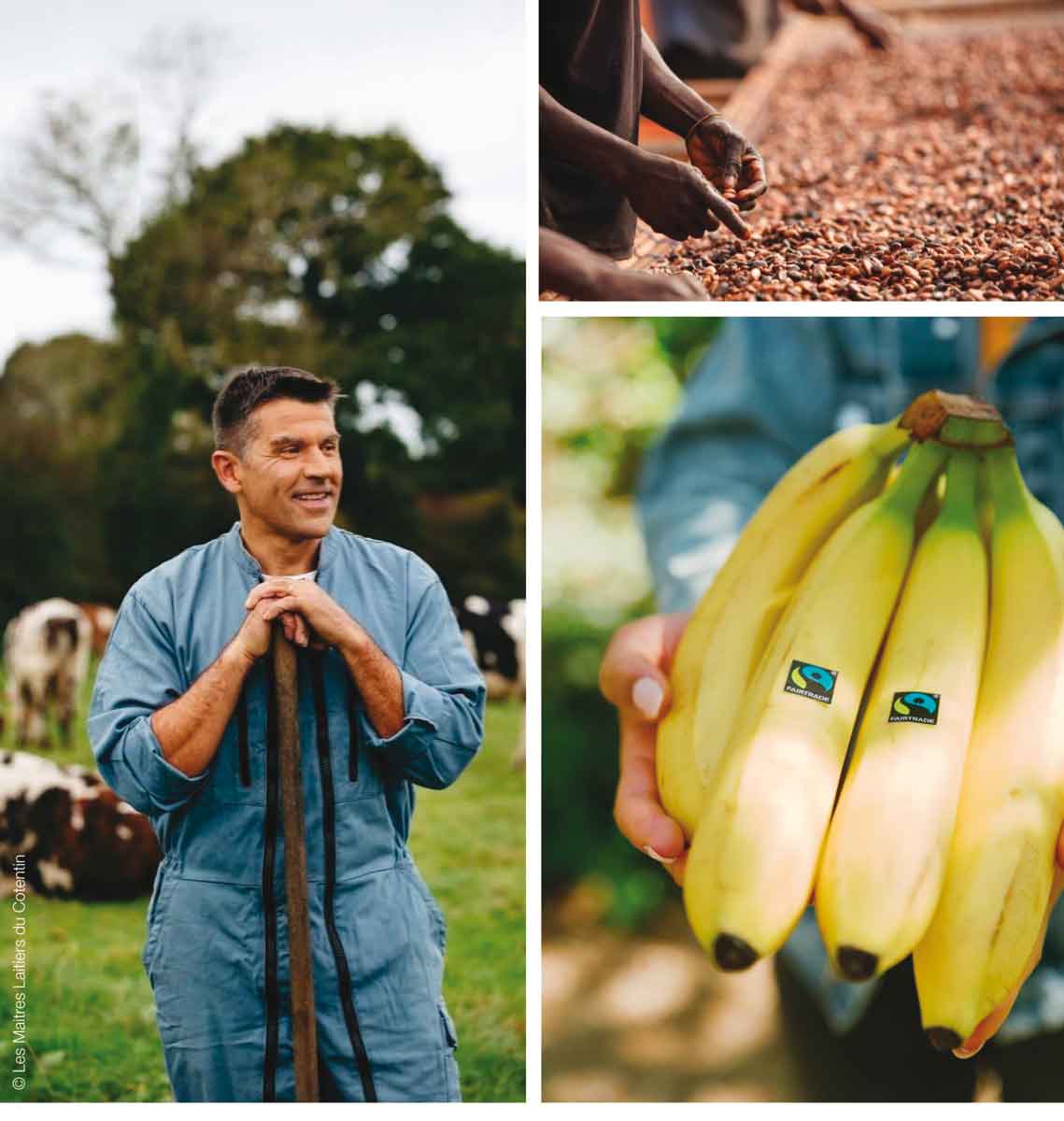 Max Havelaar : premiers produits certifiés avec des producteurs ...