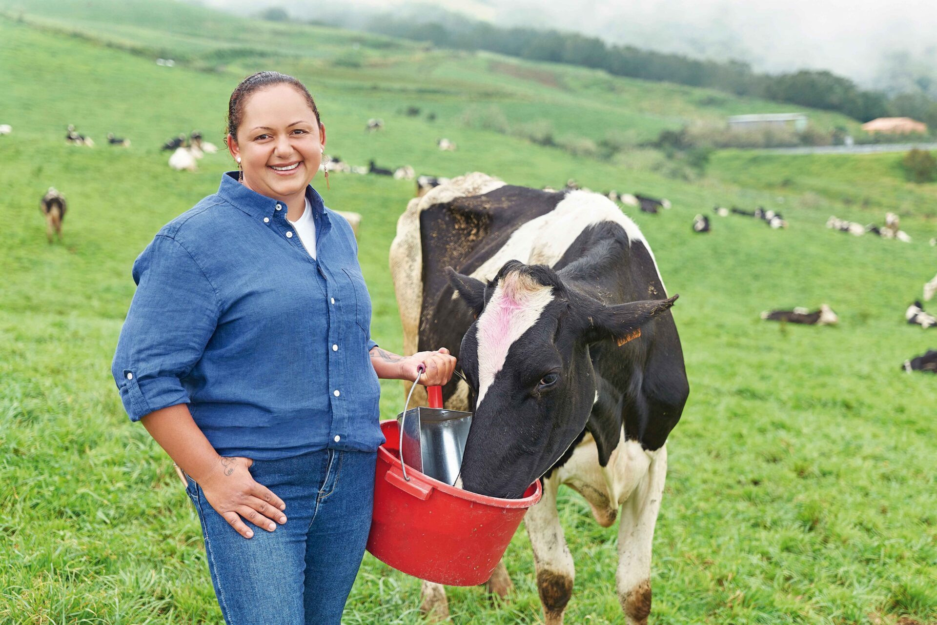 Pour ses 60 ans, Piton des Neiges conjugue histoire et terroir - Leader ...