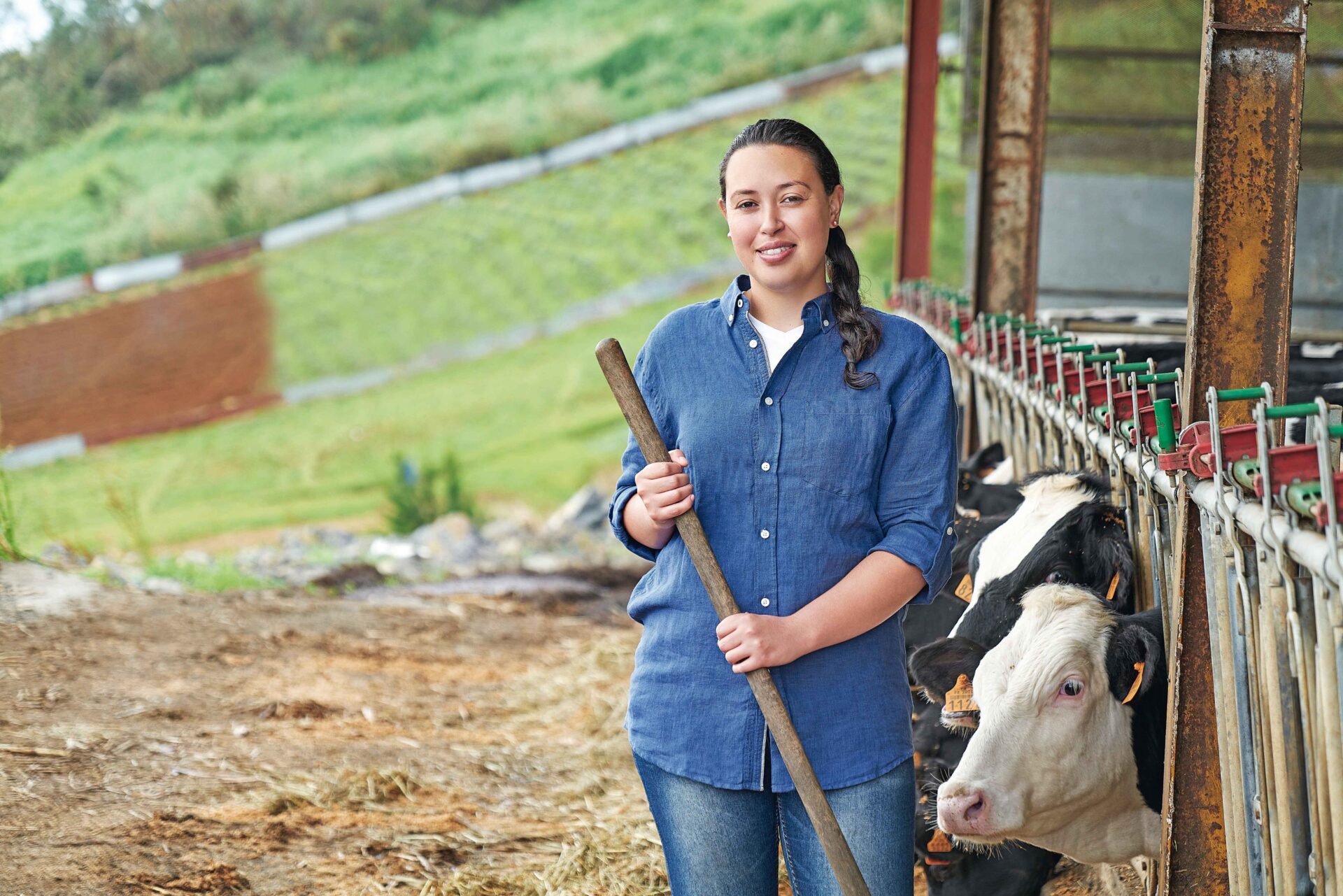 Pour ses 60 ans, Piton des Neiges conjugue histoire et terroir - Leader ...