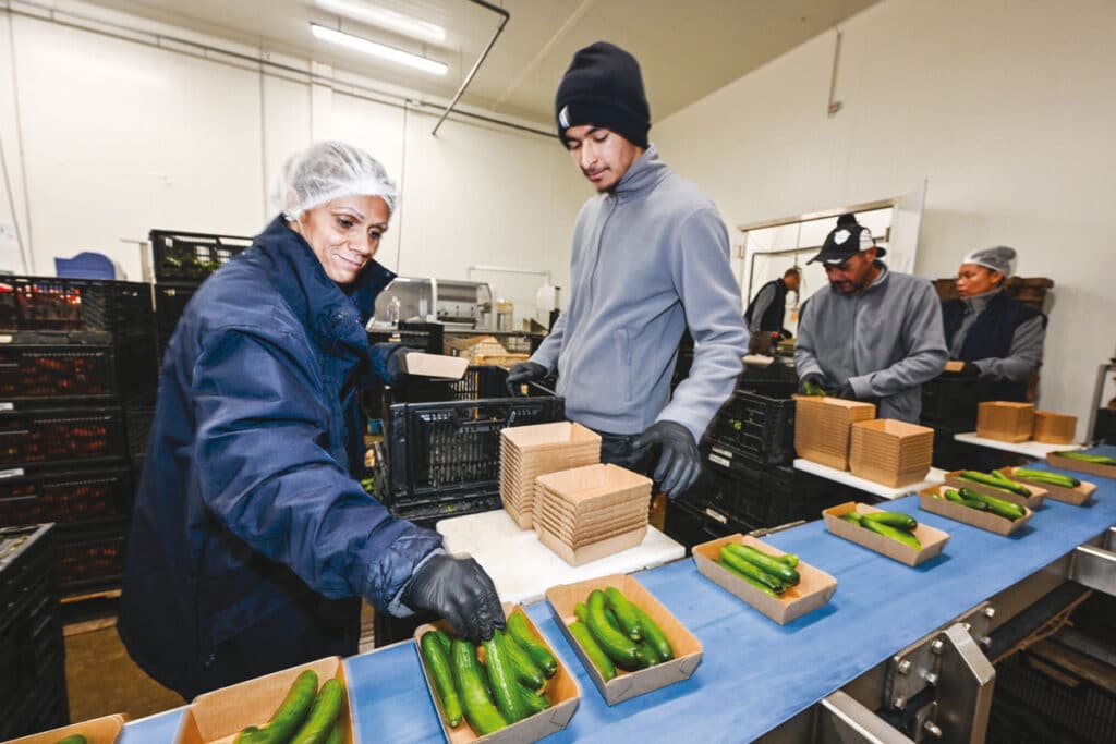 Carton vert pour LM Distribution - Leader Réunion