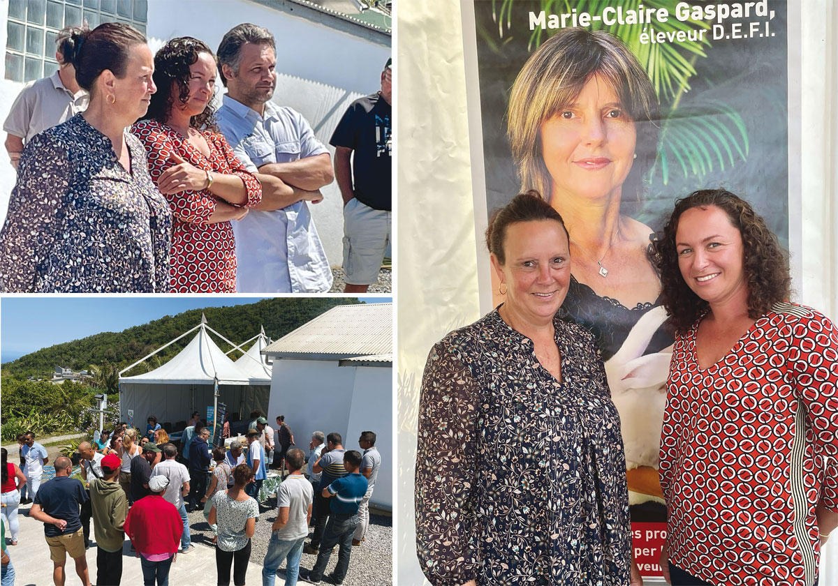 La CPLR inaugure un nouveau mode d’élevage - Leader Réunion