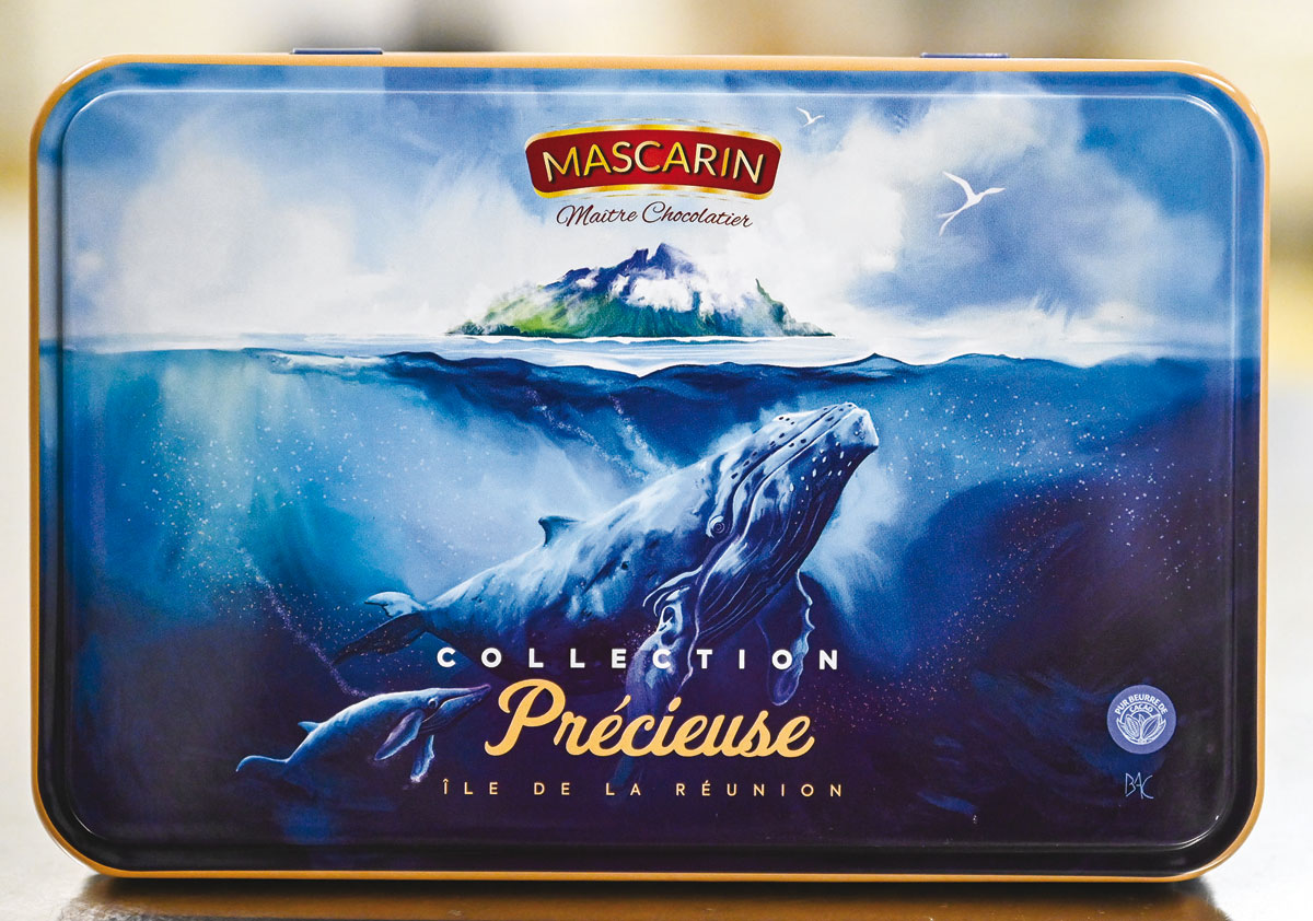 Mascarin et les baleines : l’appel aux talents réunionnais entendu ...
