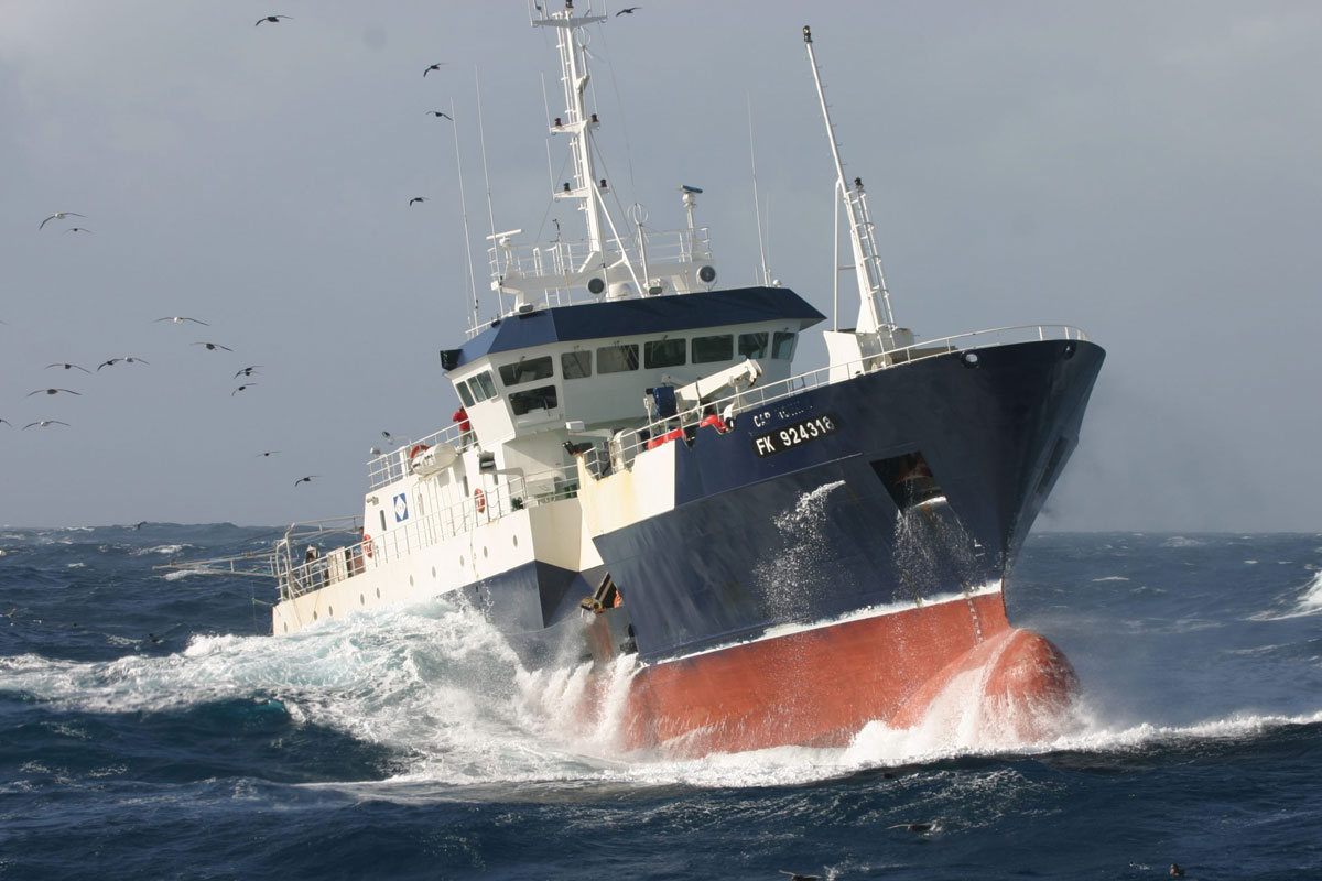 Les quotas de pêche à la légine se réduisent - Leader Réunion